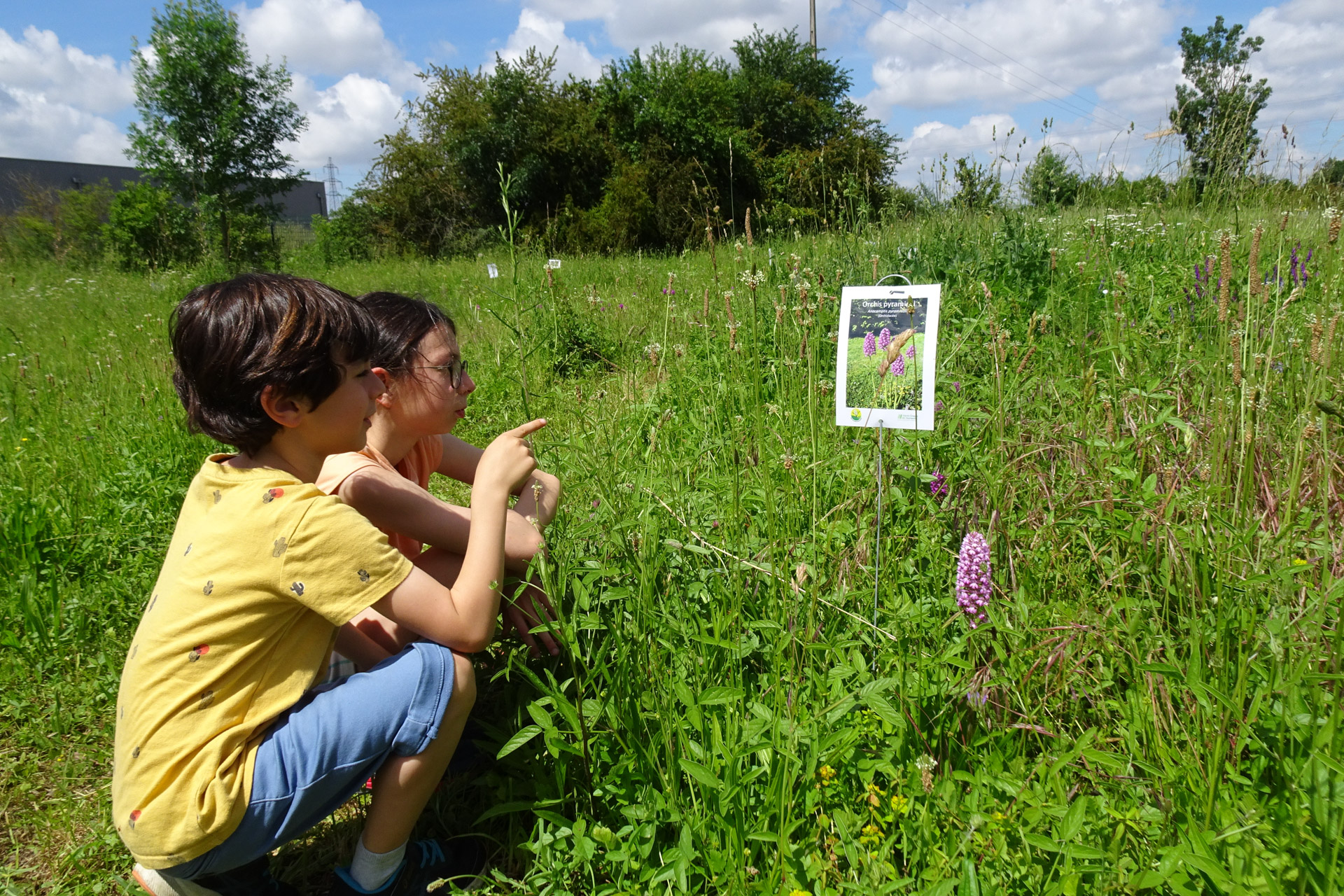 Visitez le labyrinthe de la biodiversité ! - Saint-Orens Nature ...