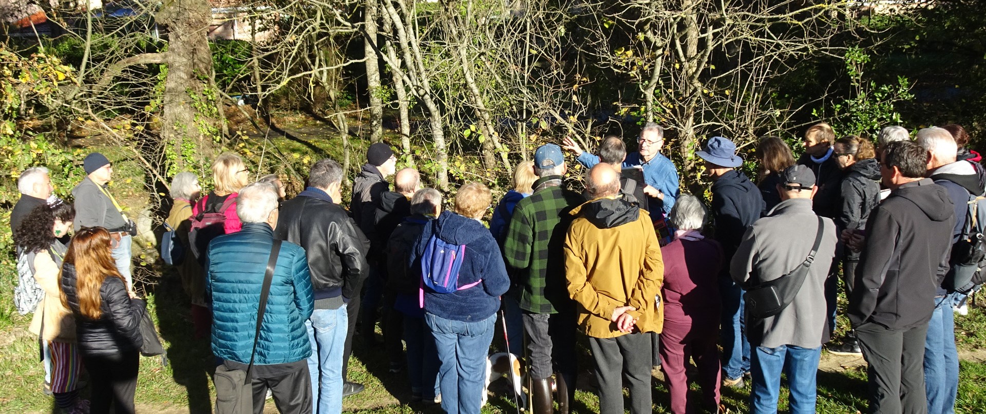 Compte-rendu sortie Nature "Ripisylve du Berjean" à Escalquens dimanche ...